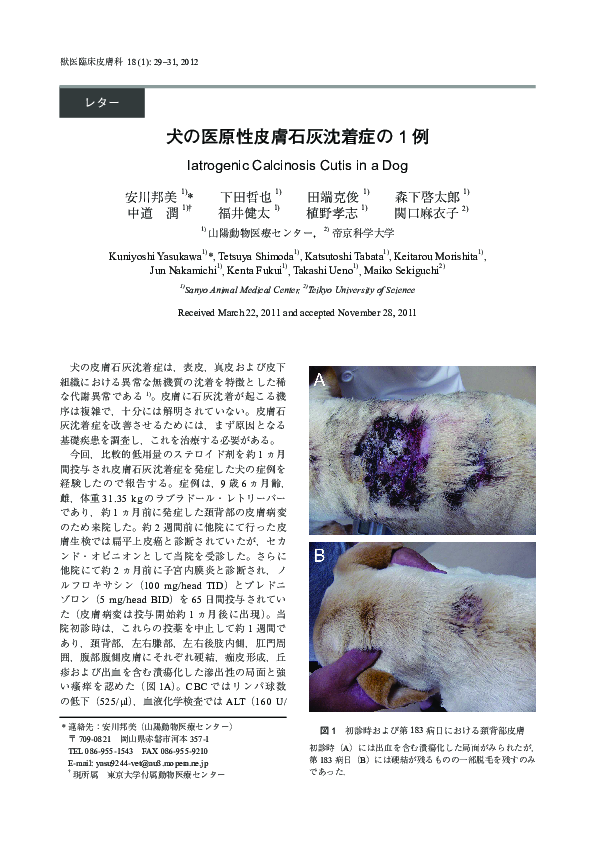 (PDF) Iatrogenic Calcinosis Cutis in a Dog