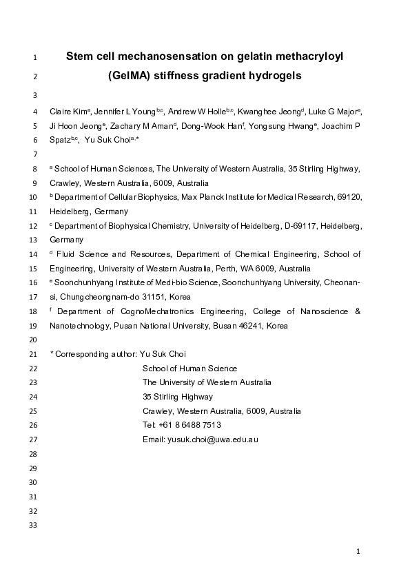 (PDF) Stem Cell Mechanosensation on Gelatin Methacryloyl (GelMA ...