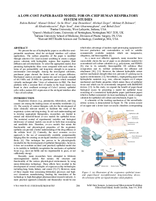 (PDF) A Low-Cost Paper-Based Model for On-Chip Human Respiratory System ...