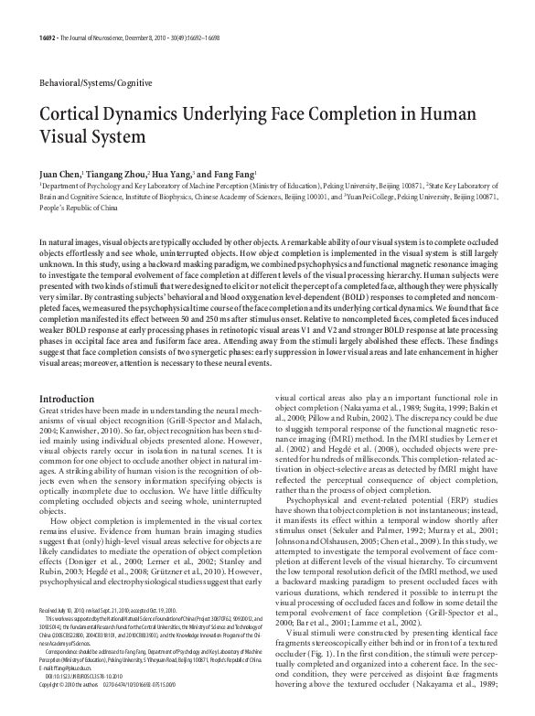 (PDF) Cortical Dynamics Underlying Face Completion in Human Visual System