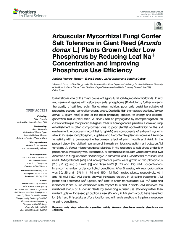 (PDF) Arbuscular Mycorrhizal Fungi Confer Salt Tolerance in Giant Reed (Arundo donax L.) Plants ...