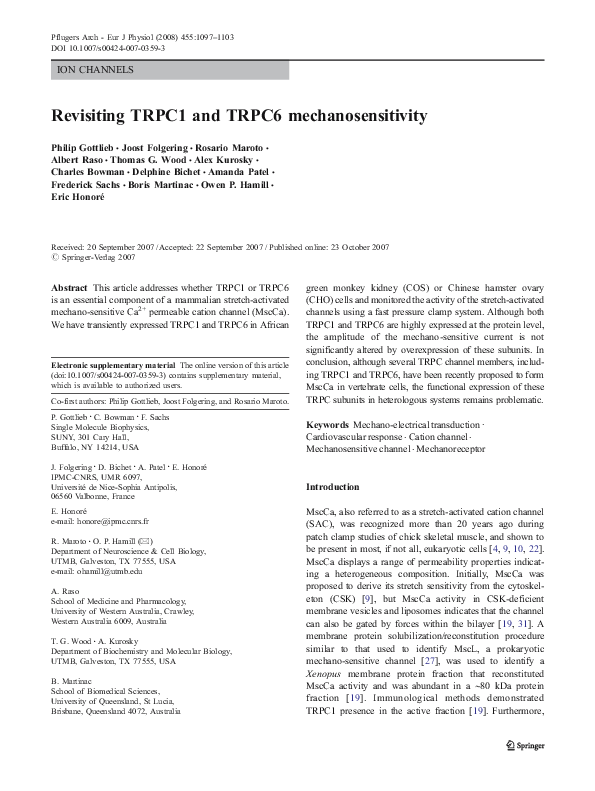 (PDF) Revisiting TRPC1 and TRPC6 mechanosensitivity