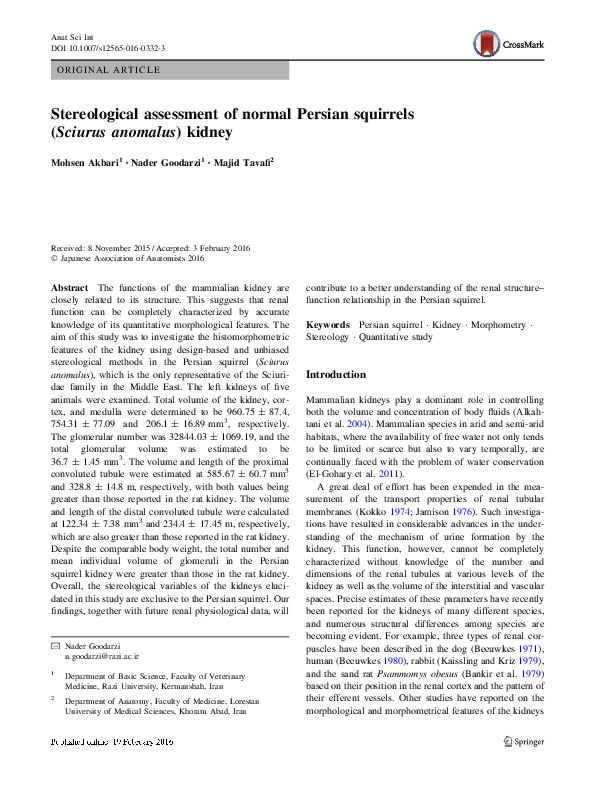 (PDF) Stereological assessment of normal Persian squirrels (Sciurus ...