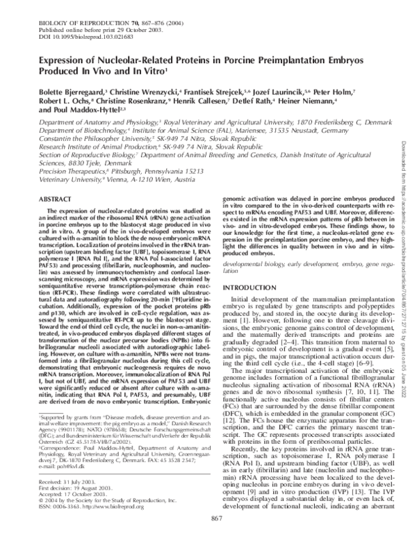 (PDF) Expression of Nucleolar-Related Proteins in Porcine ...