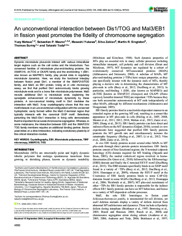 (PDF) An unconventional interaction between Dis1/TOG and Mal3/EB1 in ...