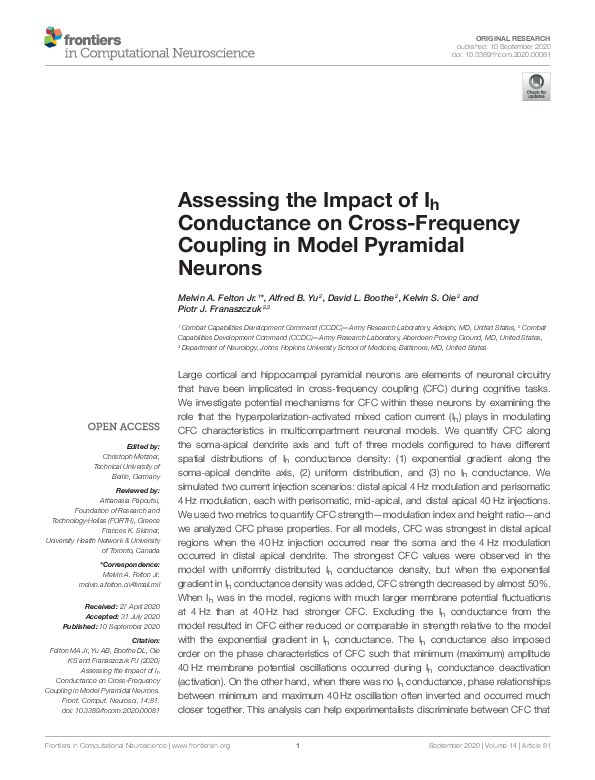 (PDF) Ih Conductance Influences Cross-Frequency Coupling