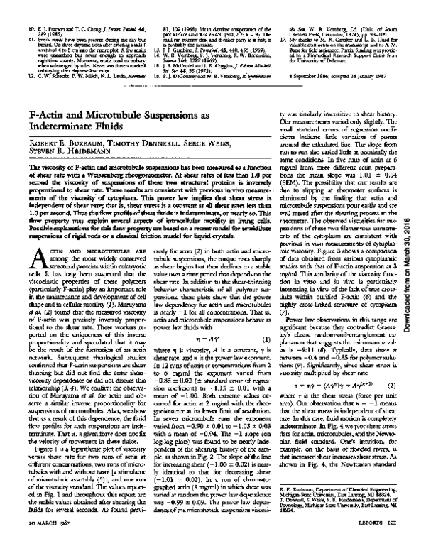 (PDF) F-actin and Microtubule Suspensions as Indeterminate Fluids ...