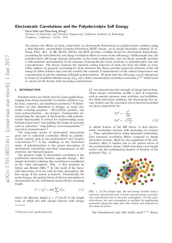 (PDF) Electrostatic correlations and the polyelectrolyte self energy