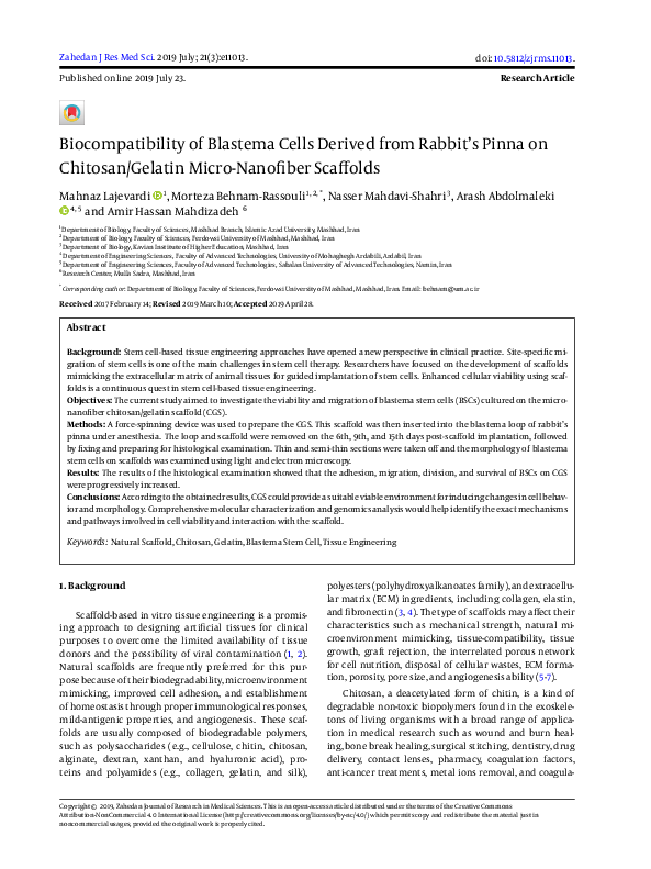 (PDF) Biocompatibility of Blastema Cells Derived from Rabbit’s Pinna on Chitosan/Gelatin Micro ...