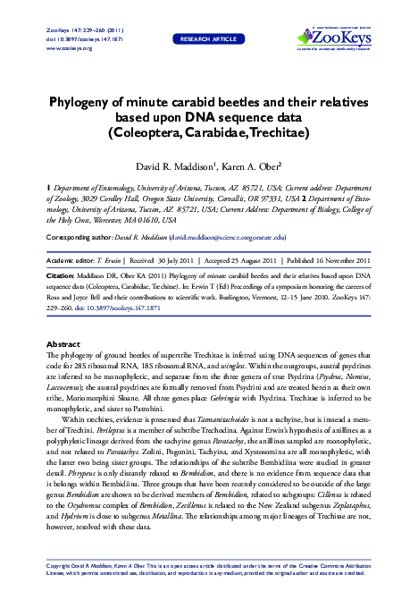 (PDF) Phylogeny of minute carabid beetles and their relatives based upon DNA sequence data ...