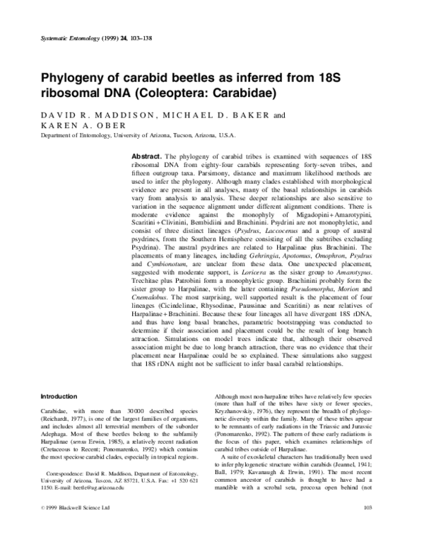 (PDF) Phylogeny of carabid beetles as inferred from 18S ribosomal DNA (Coleoptera: Carabidae)