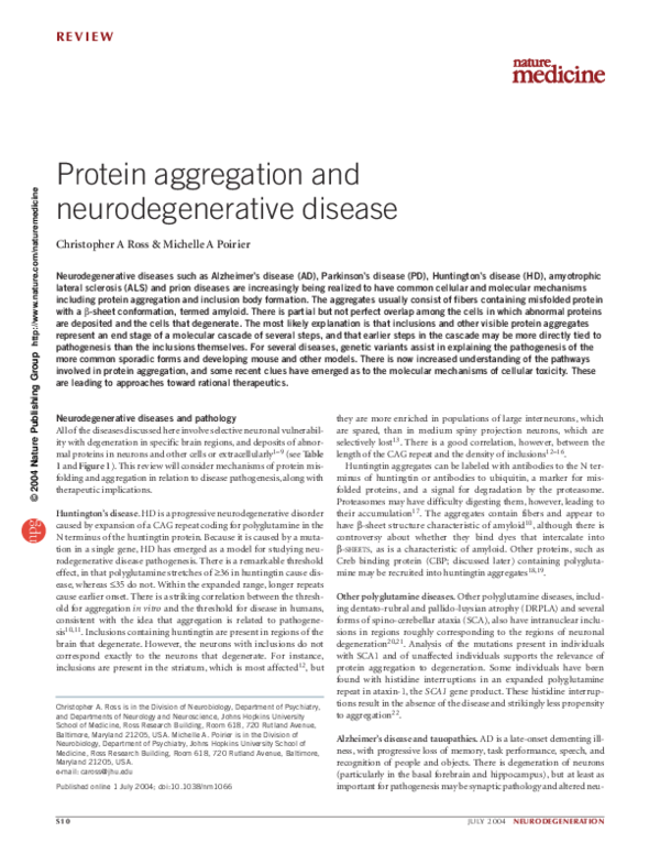 (PDF) Protein aggregation and neurodegenerative disease