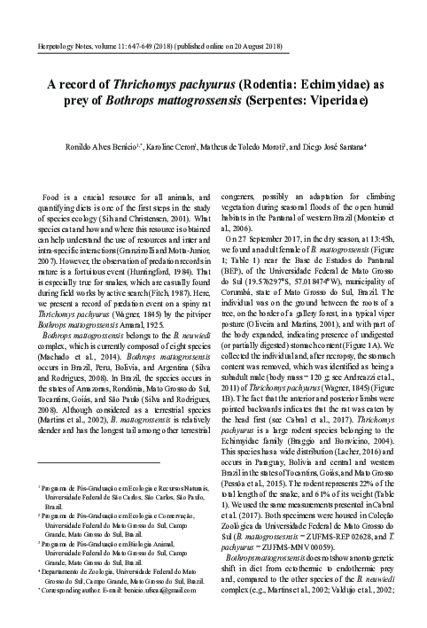 (PDF) A record of a Thrichomys pachyurus (Rodentia: Echimyidae) as prey ...