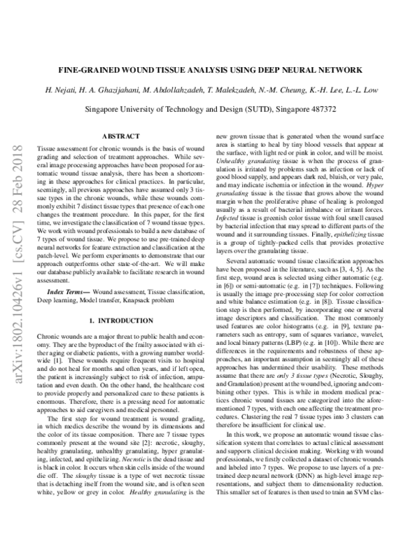 (PDF) Fine-Grained Wound Tissue Analysis Using Deep Neural Network