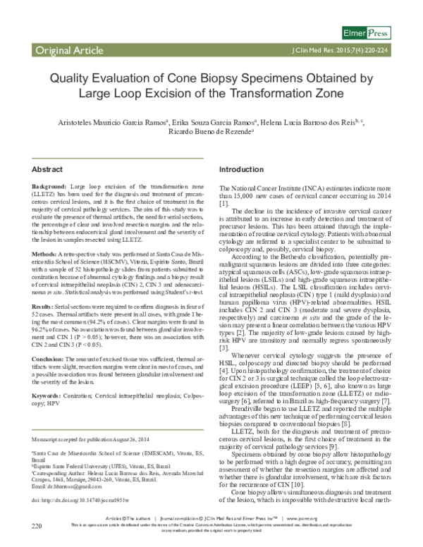 (PDF) Quality Evaluation of Cone Biopsy Specimens Obtained by Large ...