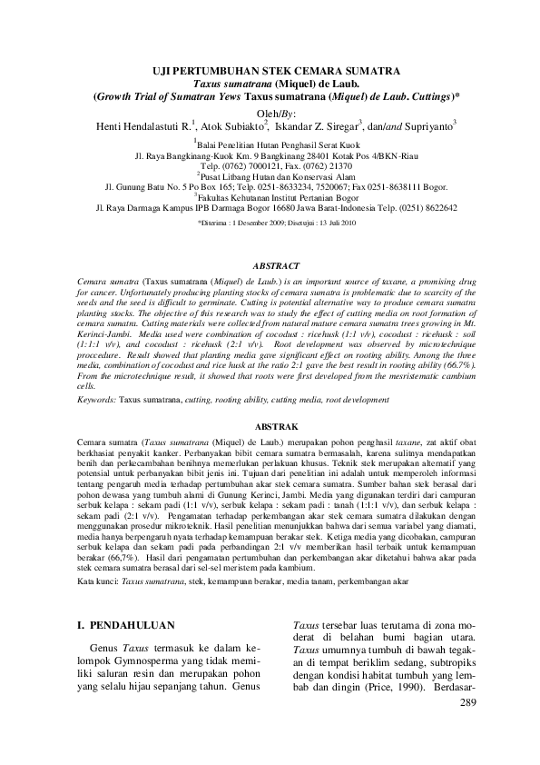 (PDF) UJI PERTUMBUHAN STEK CEMARA SUMATRA Taxus sumatrana (Miquel) de Laub