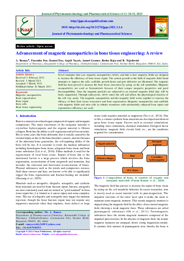 (PDF) Advancement of magnetic nanoparticles in bone tissue engineering