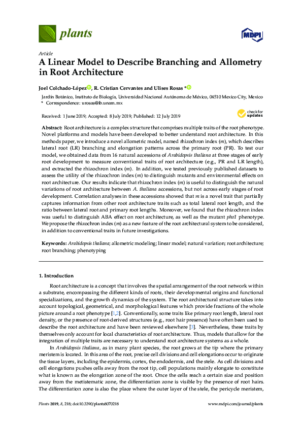 (PDF) A Linear Model to Describe Branching and Allometry in Root ...