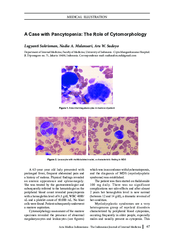 (PDF) A case with pancytopenia: the role of cytomorphology