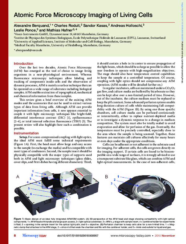 (PDF) Atomic Force Microscopy Imaging of Living Cells