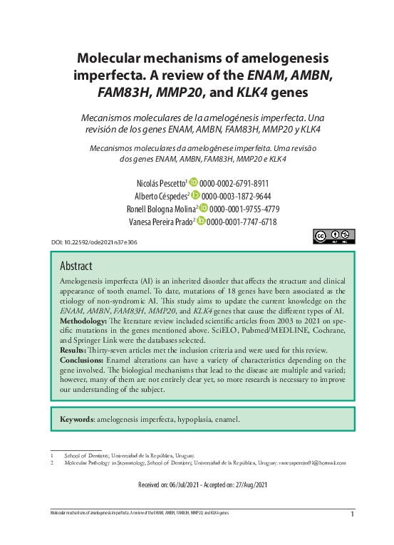 (PDF) Molecular mechanisms of amelogenesis imperfecta. A review of the ...