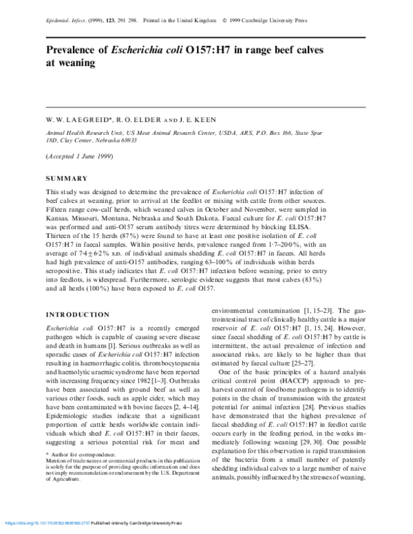 (PDF) Prevalence of Escherichia coli O157:H7 in range beef calves at weaning | Jim Keen ...