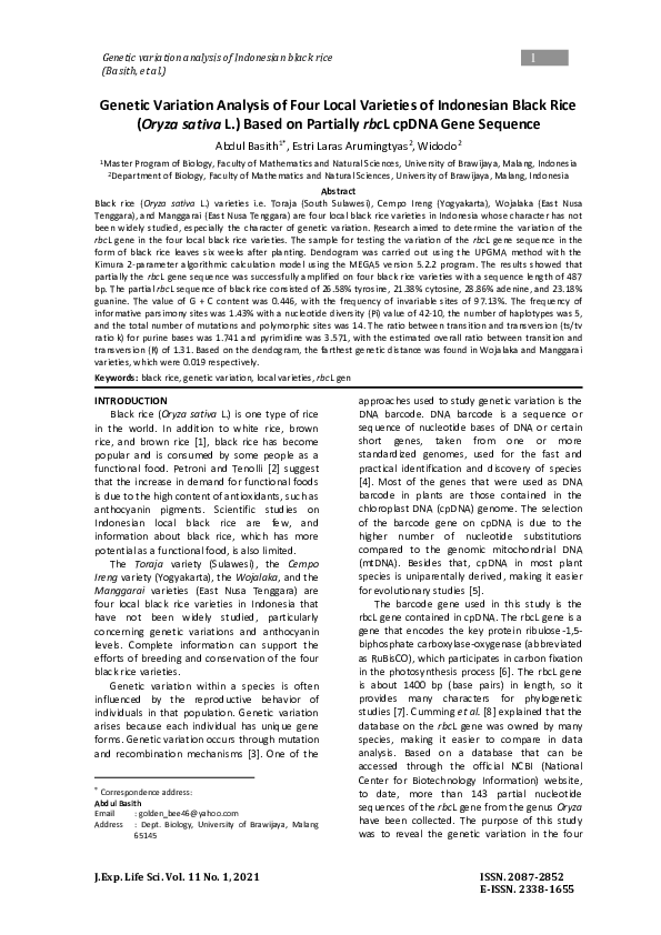 (PDF) Genetic Variation Analysis of Four Local Varieties of Indonesian ...