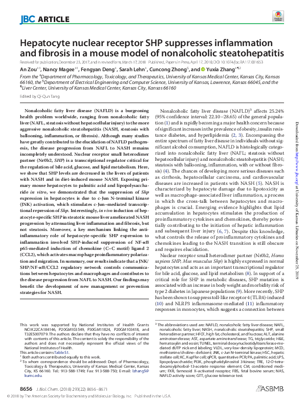 (PDF) Hepatocyte nuclear receptor SHP suppresses inflammation and ...