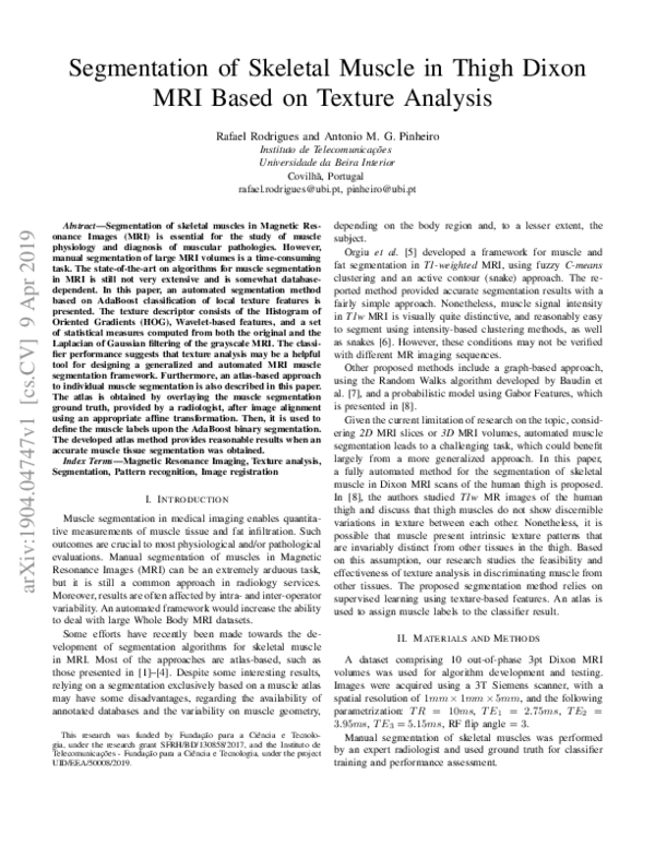 (PDF) Segmentation of Skeletal Muscle in Thigh Dixon MRI Based on ...