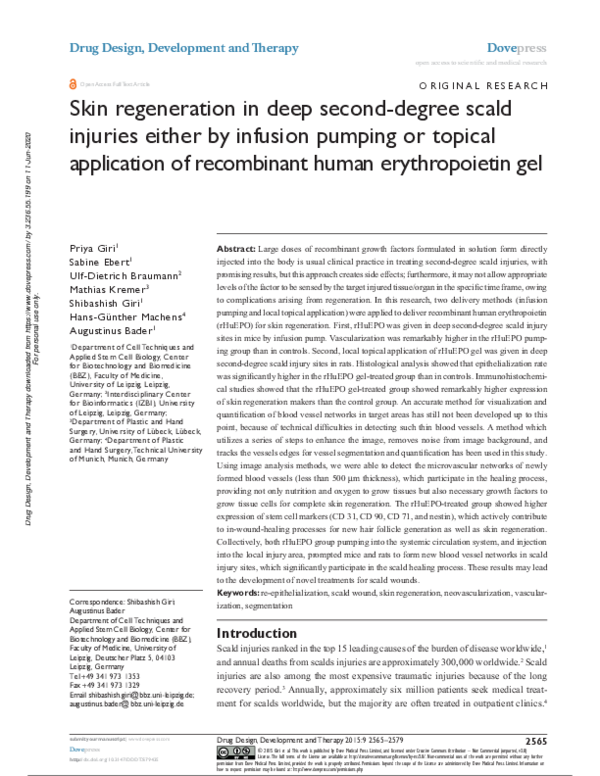 (PDF) Skin regeneration in deep second-degree scald injuries either by ...