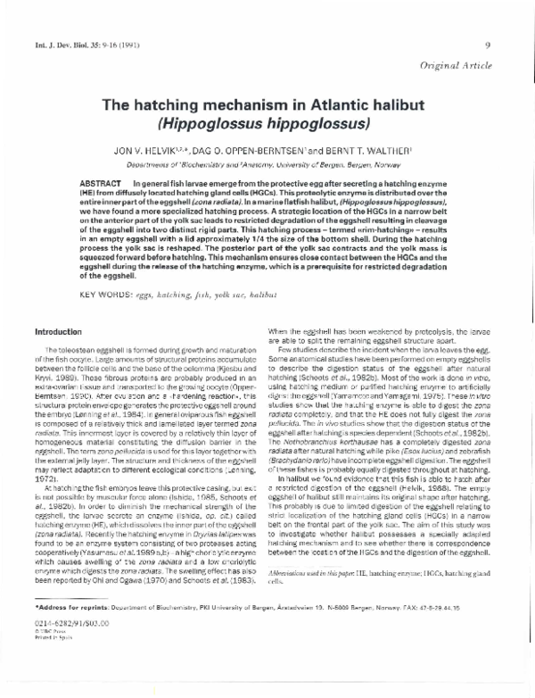 (PDF) The hatching mechanism in Atlantic halibut (Hippoglossus ...
