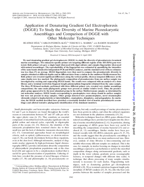 (PDF) Application of Denaturing Gradient Gel Electrophoresis (DGGE) To ...