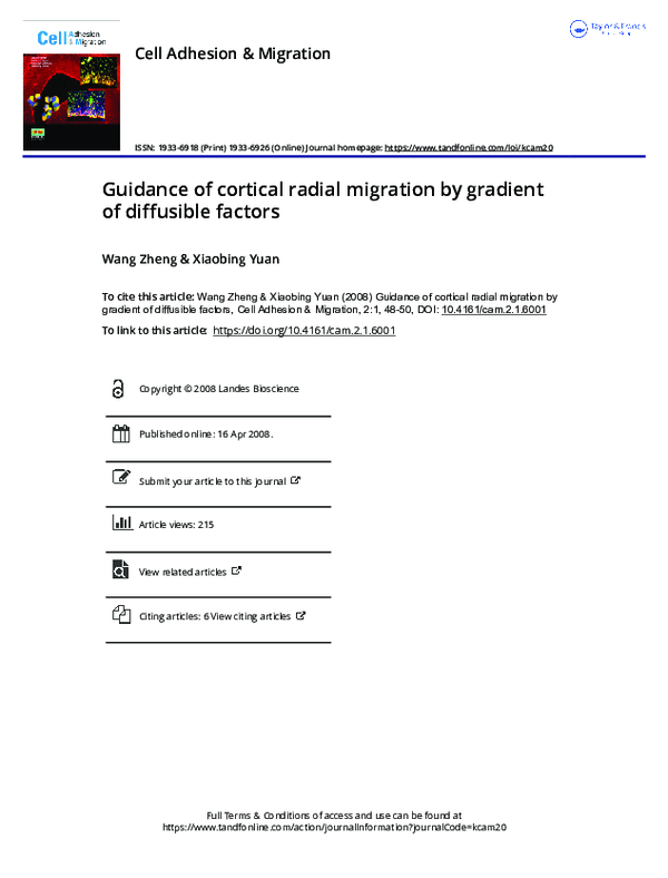 (PDF) Guidance of cortical radial migration by gradient of diffusible ...