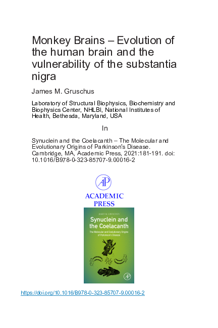 (PDF) Monkey Brains – Evolution of the human brain and the ...