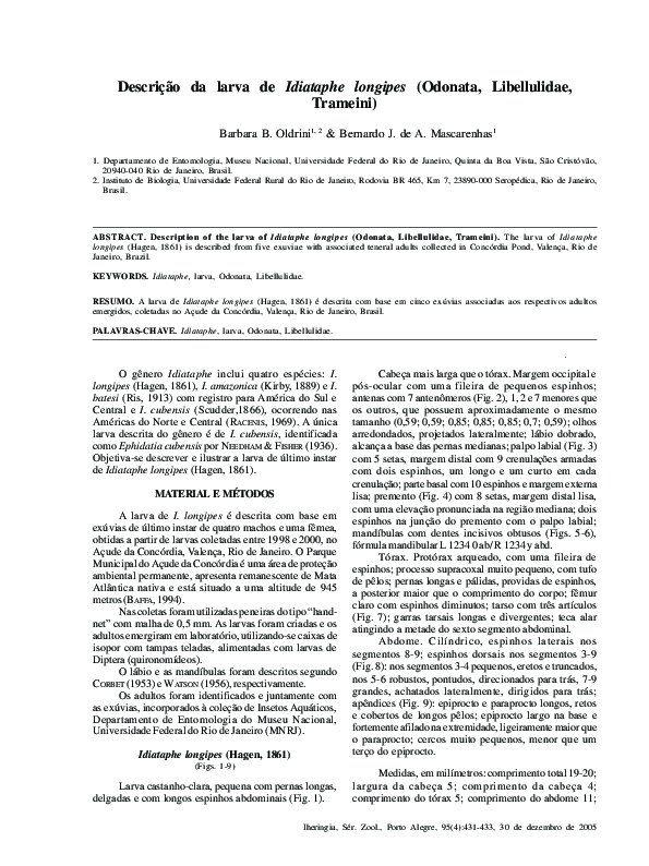 (PDF) Descrição da larva de Idiataphe longipes (Odonata, Libellulidae ...