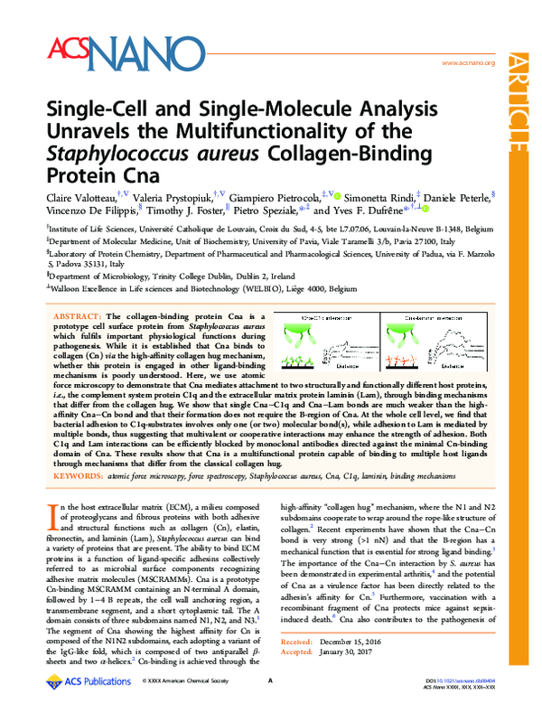 (PDF) Single-Cell and Single-Molecule Analysis Unravels the ...