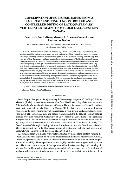 (PDF) Conservation of Subfossil Bones from a Lacustrine Setting ...