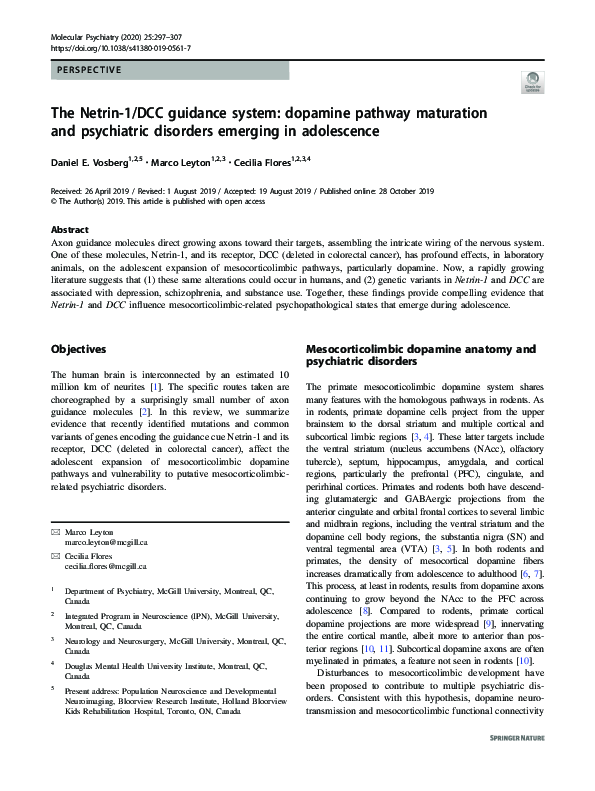 (PDF) The Netrin-1/DCC guidance system: dopamine pathway maturation and ...