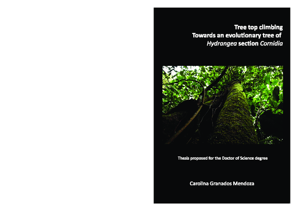 (PDF) Tree top climbing: towards an evolutionary tree of Hydrangea ...