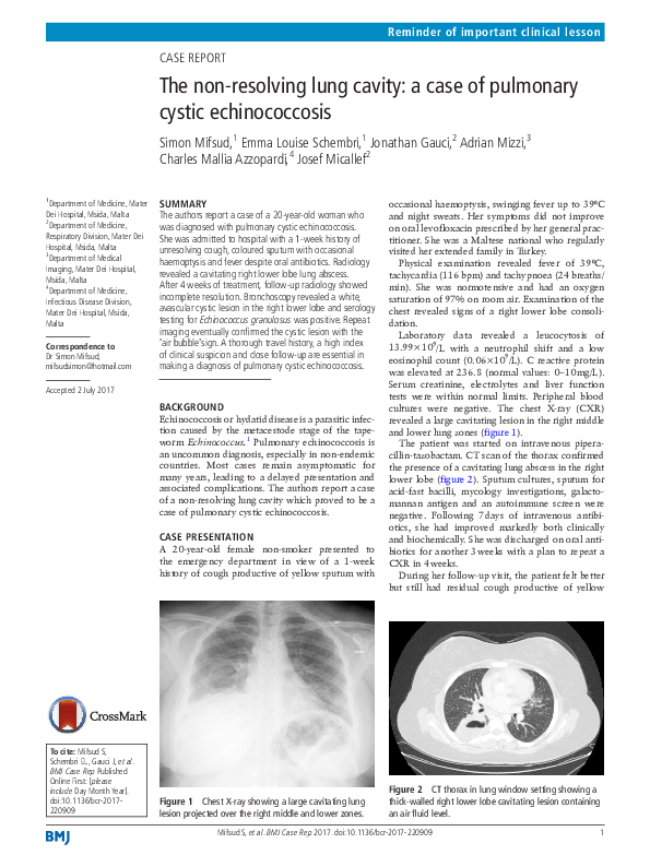 (PDF) The non-resolving lung cavity: a case of pulmonary cystic ...