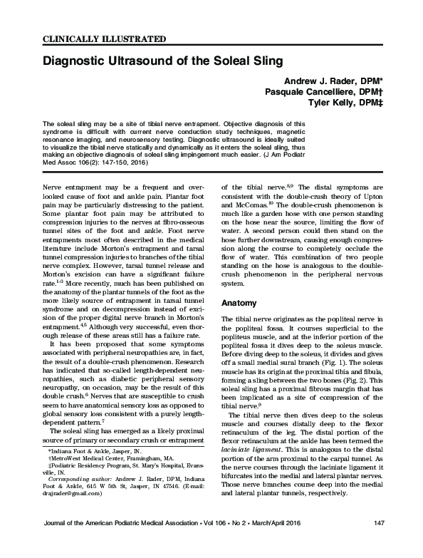 (PDF) Diagnostic Ultrasound of the Soleal Sling