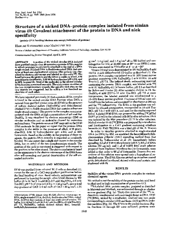 (PDF) Nicked DNA-Protein Structure from SV40