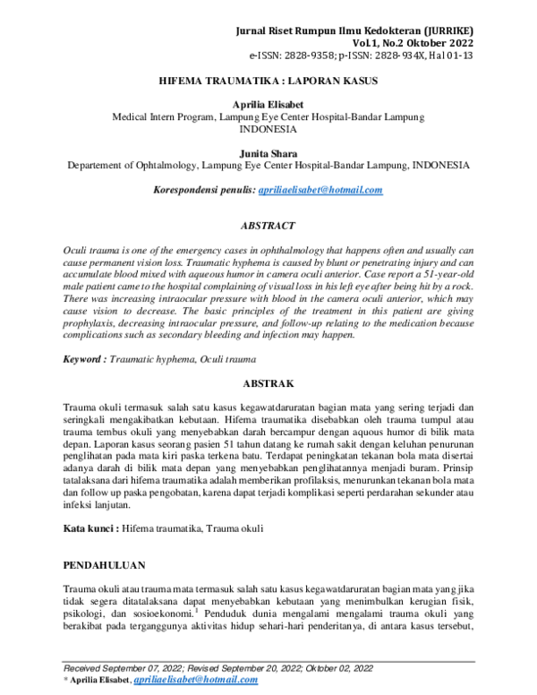 (PDF) Hifema Traumatika : Laporan Kasus
