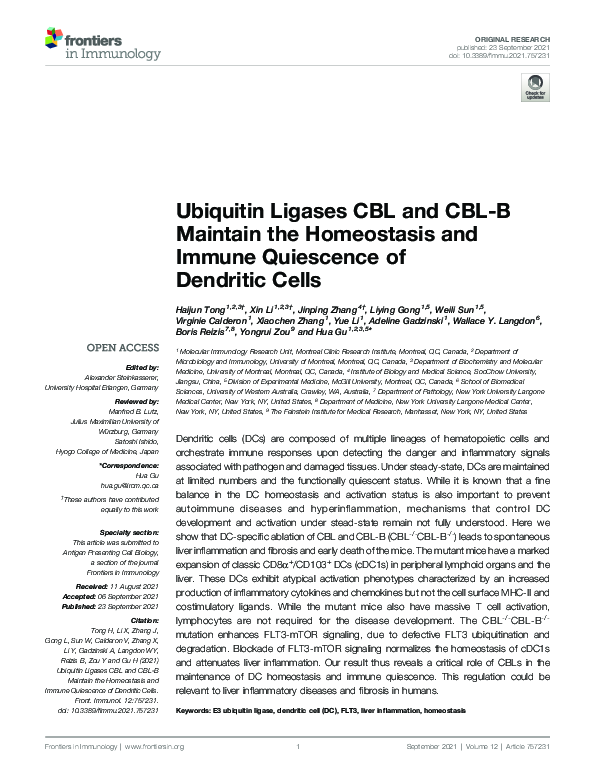 (PDF) Ubiquitin Ligases CBL and CBL-B Maintain the Homeostasis and Immune Quiescence of ...