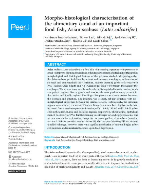 (PDF) Morpho-histological characterisation of the alimentary canal of an important food fish ...