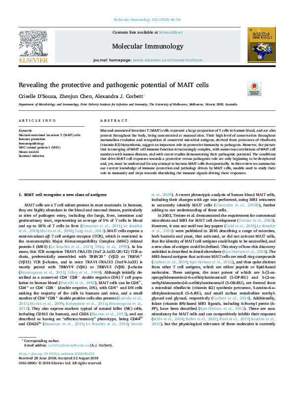 (PDF) Revealing the protective and pathogenic potential of MAIT cells