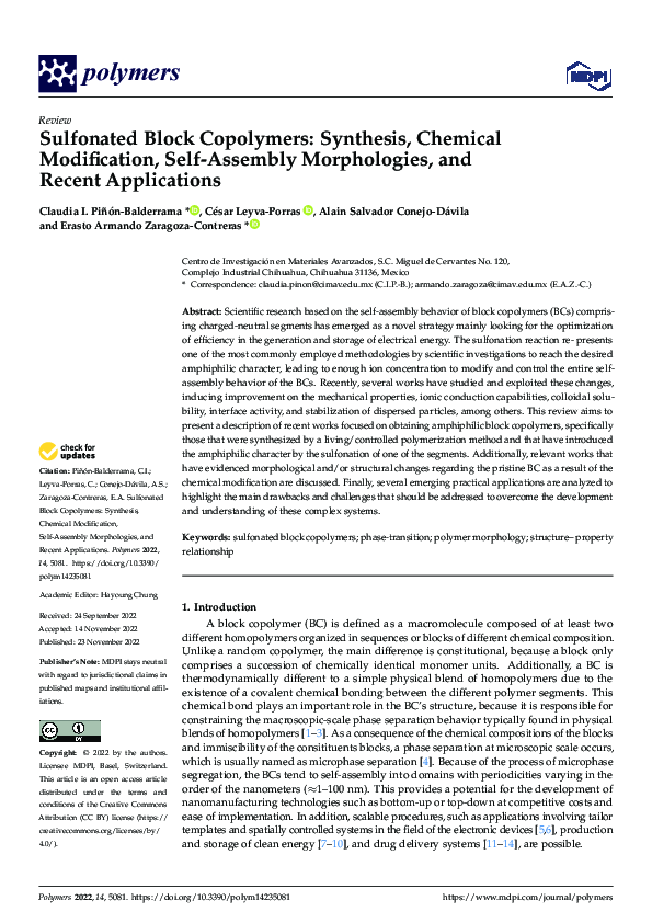 (PDF) Sulfonated Block Copolymers: Synthesis, Chemical Modification, Self-Assembly Morphologies ...