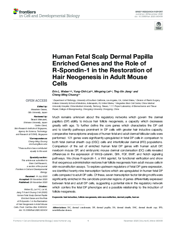 (PDF) Human Fetal Scalp Dermal Papilla Enriched Genes and the Role of R ...