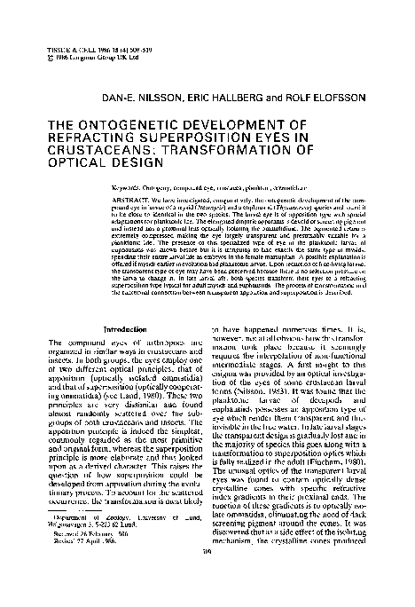(PDF) The ontogenetic development of refracting superposition eyes in ...