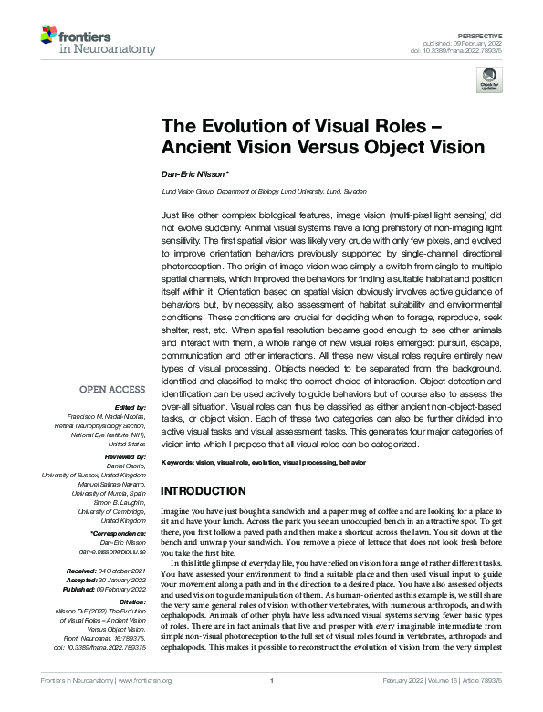 (PDF) The Evolution of Visual Roles – Ancient Vision Versus Object Vision